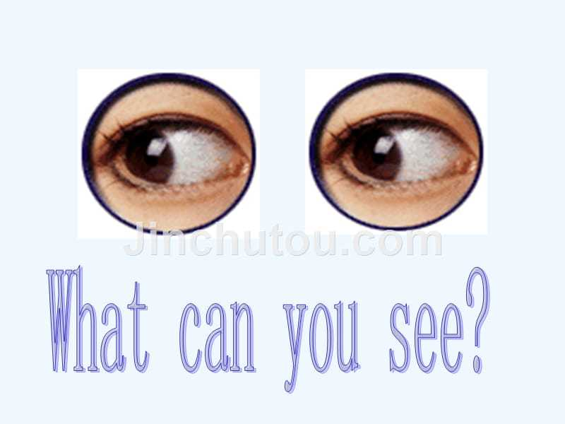 牛津上海版(深圳)英语二下unit 1《what can you see》ppt课件2 - 360文库
