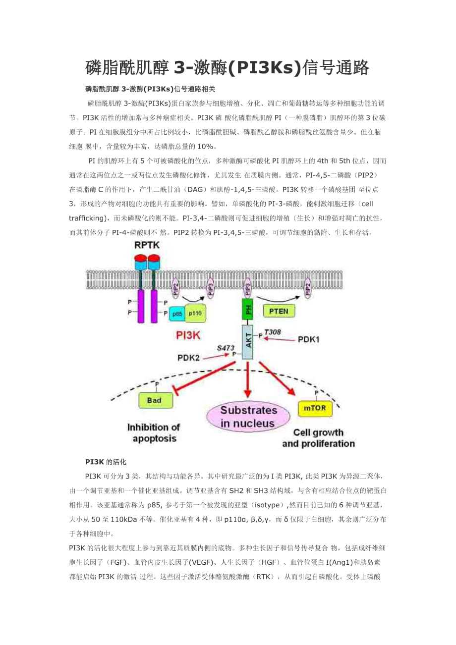 PI3K信号通路详解 - 360文库