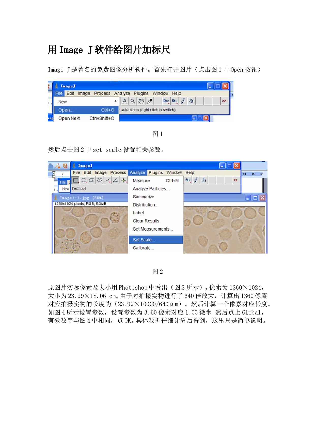 ImageJ软件给图片添加标尺 - 360文库